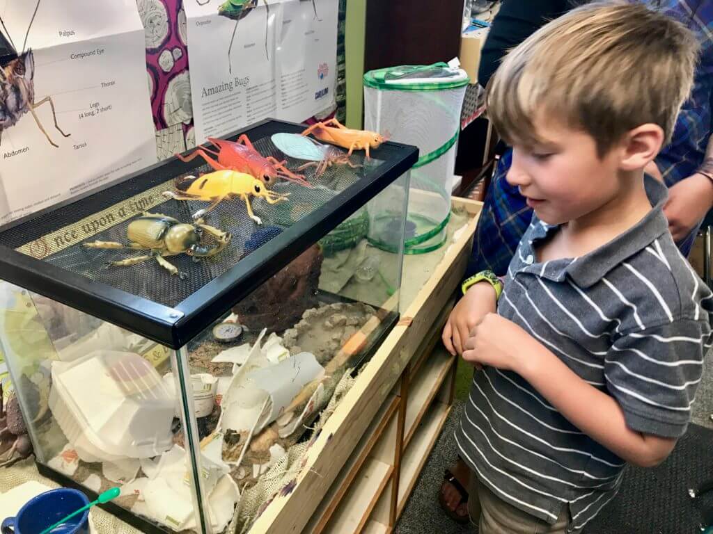 Clean and Green: Sustainability at WSD - Weilenmann School of Discovery